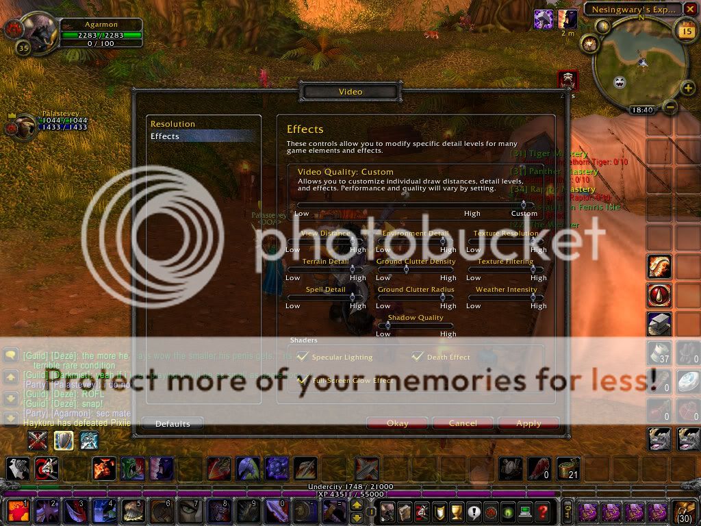 Graphics glitch? - World of Warcraft Forum (WoW) - Neoseeker Forums