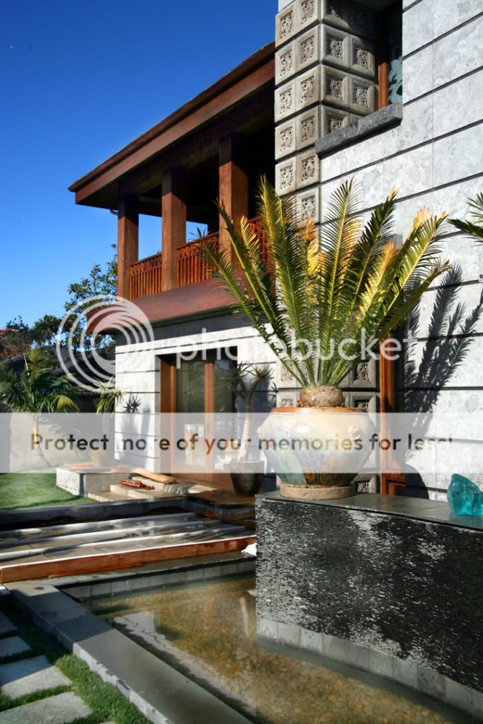 RARE PALM ESTATE - DISCUSSING PALM TREES WORLDWIDE - PalmTalk