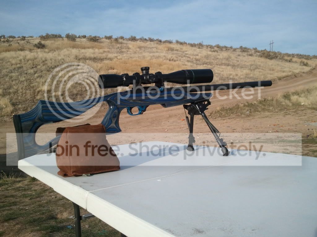 Boyd SS Evolution | Rimfire Central Firearm Forum