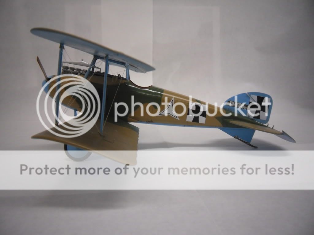 Roden 1:32 Albatros D1 - Ready for Inspection - Aircraft - Britmodeller.com