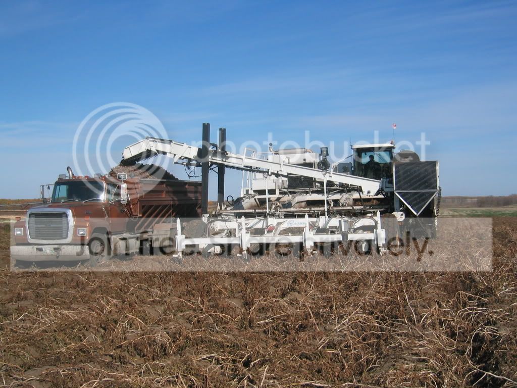 Self-propelled Potato Harvesting Pictures | The Combine Forum