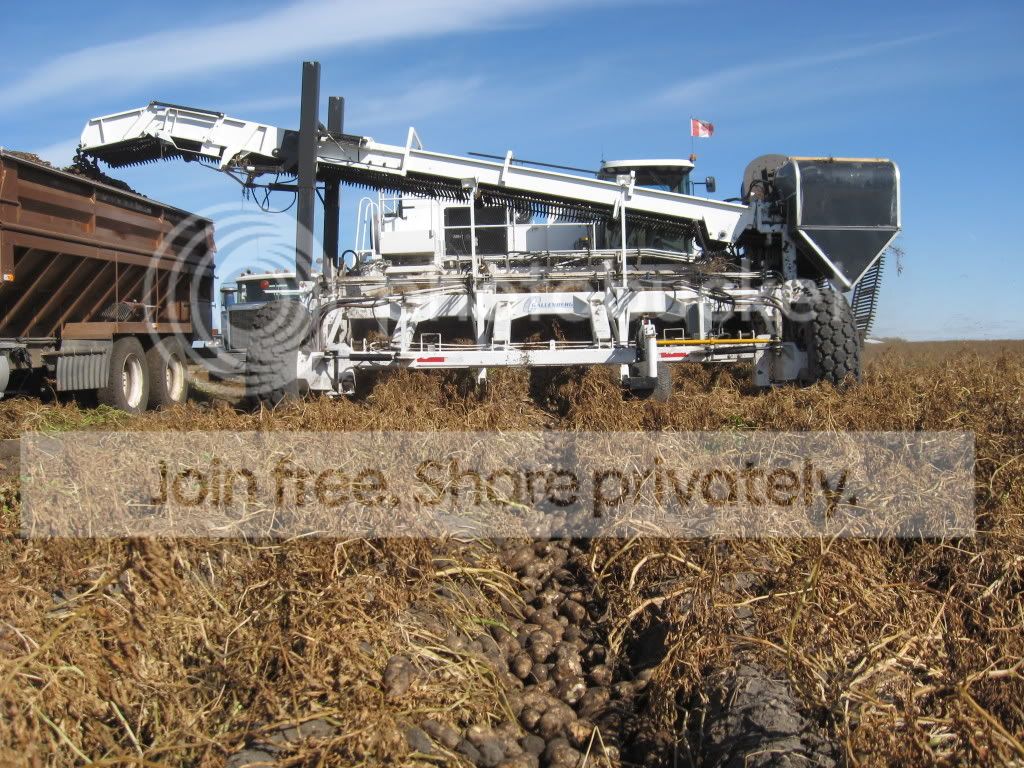 2008 Potato harvest pics with 6 row gallenberg | Page 2 | The Combine Forum