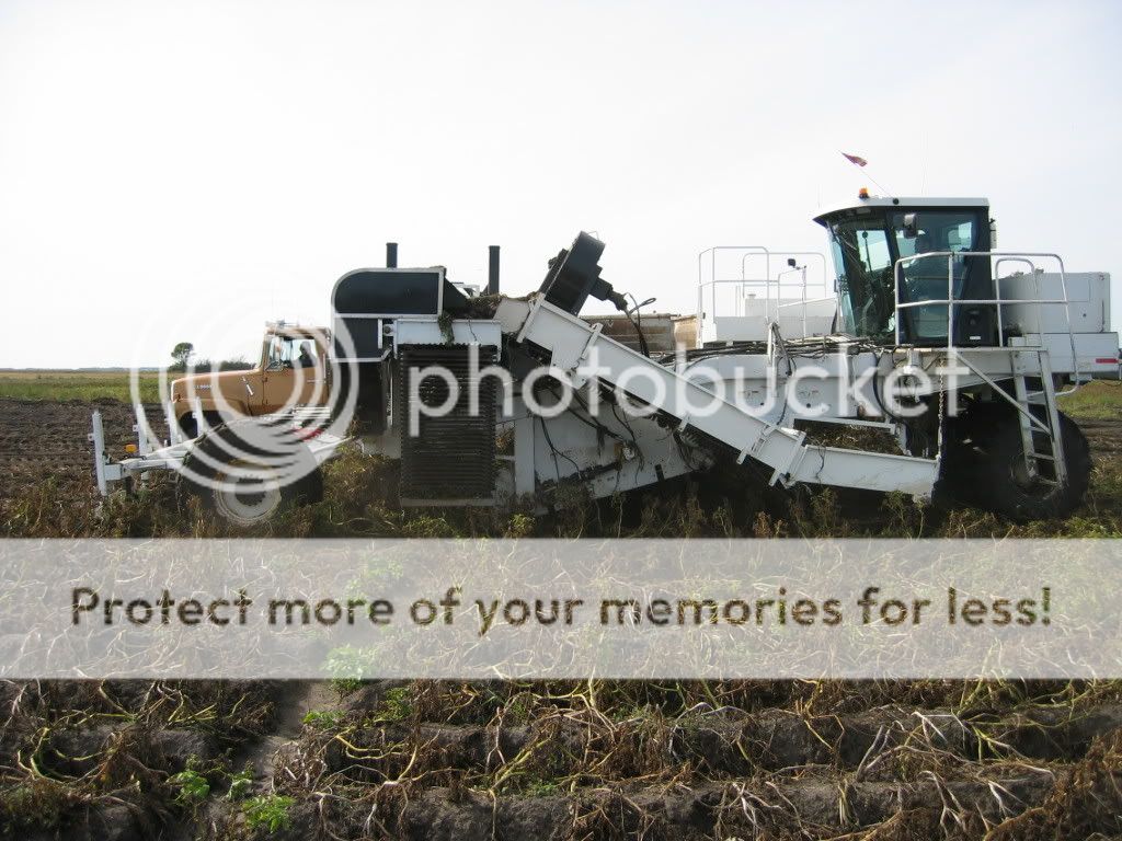 more self-propelled potato digger pics | The Combine Forum