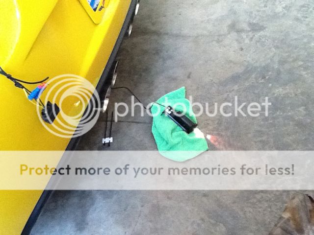 "Tramp Stamp Install" - CorvetteForum - Chevrolet Corvette Forum Discussion