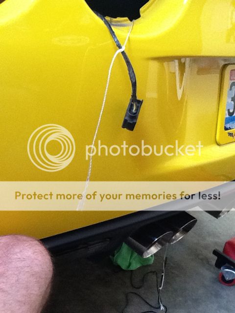 "Tramp Stamp Install" - CorvetteForum - Chevrolet Corvette Forum Discussion