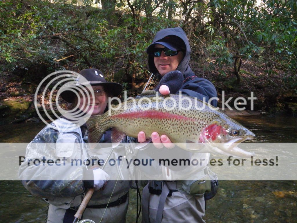 Caught some fish at Dukes Creek | GON Forum